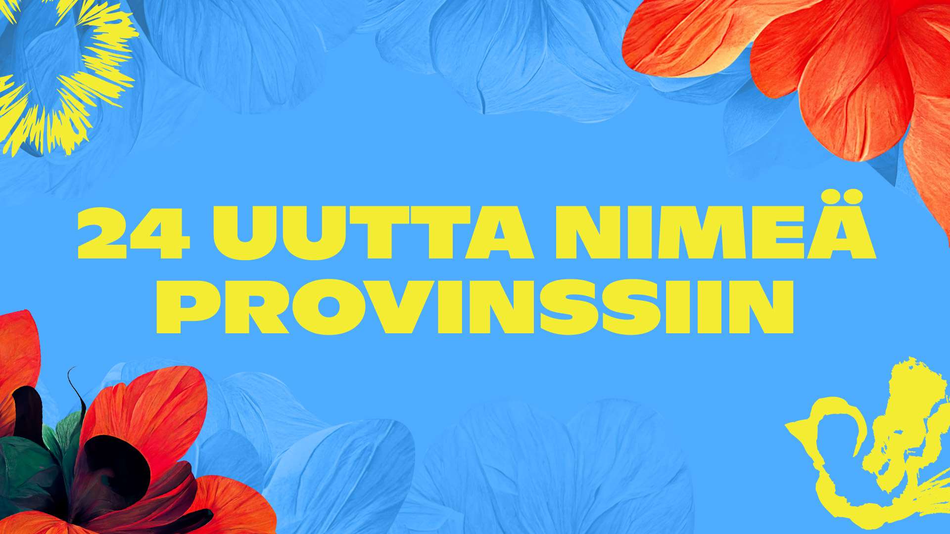 24 KOTIMAISTA PROVINSSIIN | Provinssi | 09.12.2024